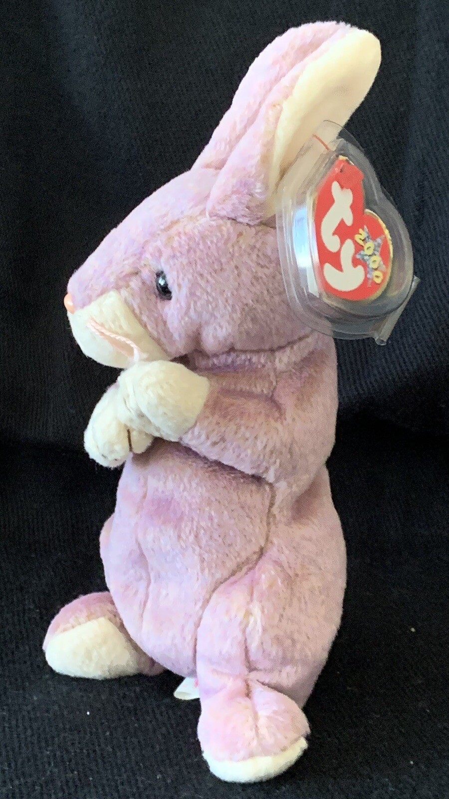 TY Beanie Baby - SPRINGY the Bunny (8 inch) - MWMTs Stuffed Animal Toy ...