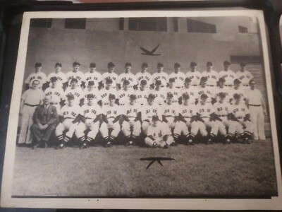 BOSTON RED SOX 1946 TEAM PHOTO MLB BASEBALL TED WILLIAMS BRAVES CELTICS ...