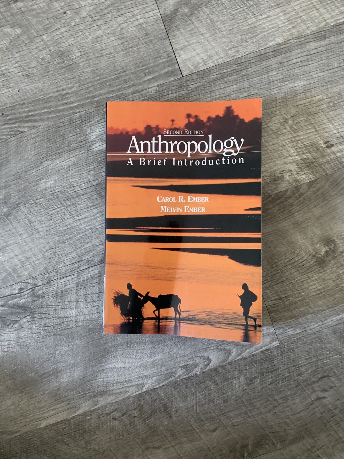 Anthropology : A Brief Introduction by Carol R. Ember; Melvin Ember ...