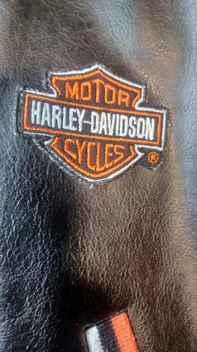 Harley Davidson Varsity Jacket 18 Months Leather Classic Style Biker ...