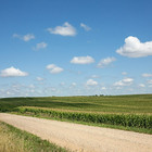 Set of 4 Spectrum Designz Lavender Flowers Garden w/ Bees Ceramic Salad ...
