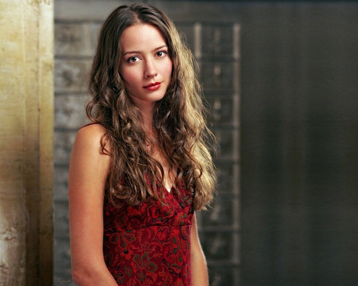 Magnificent Amy Acker Wallpaper Once Upon A Time Casting News Amy