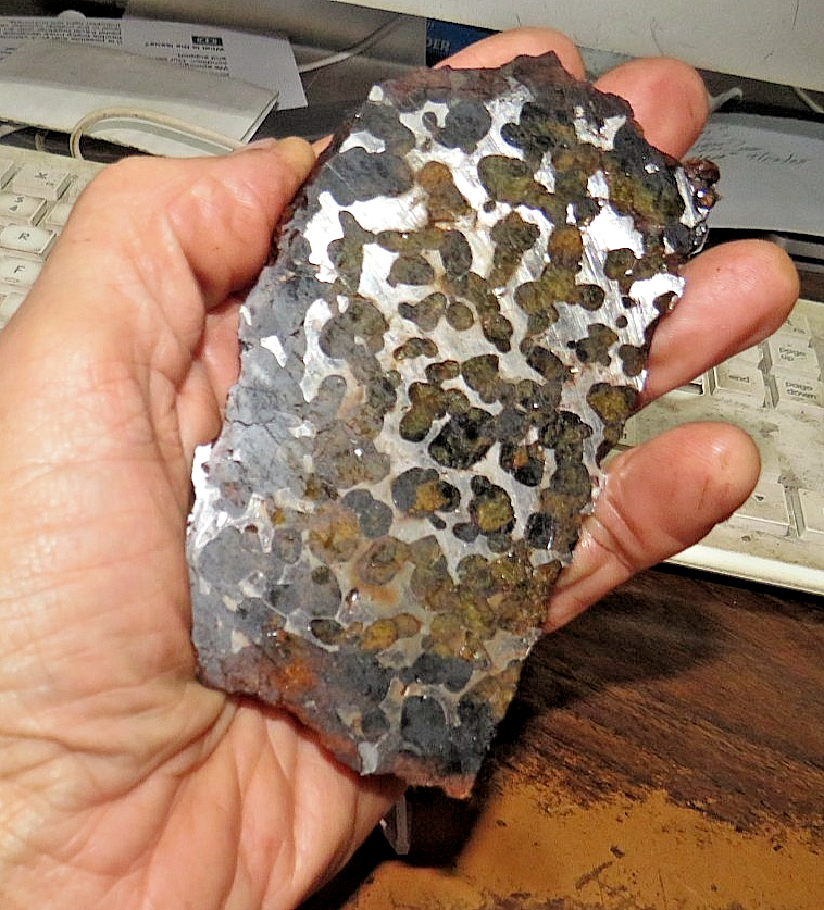218 gm SERICHO pallasite Meteorite slab from Kenya stand olivine .48 ...