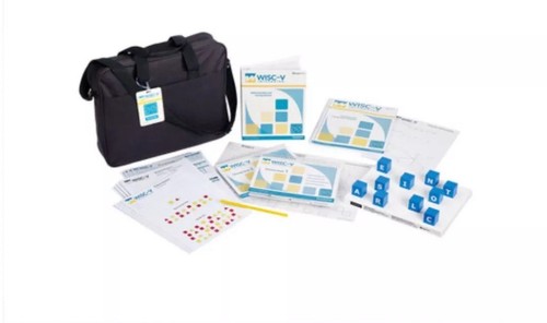 WISC-V Integrated Kit Wechsler Intelligence Scale For Children | Fifth ...