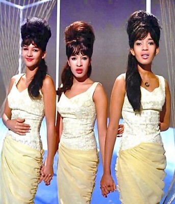 Ronnie Spector &The Ronettes Retro Girl Band Poster 8x10 Picture ...