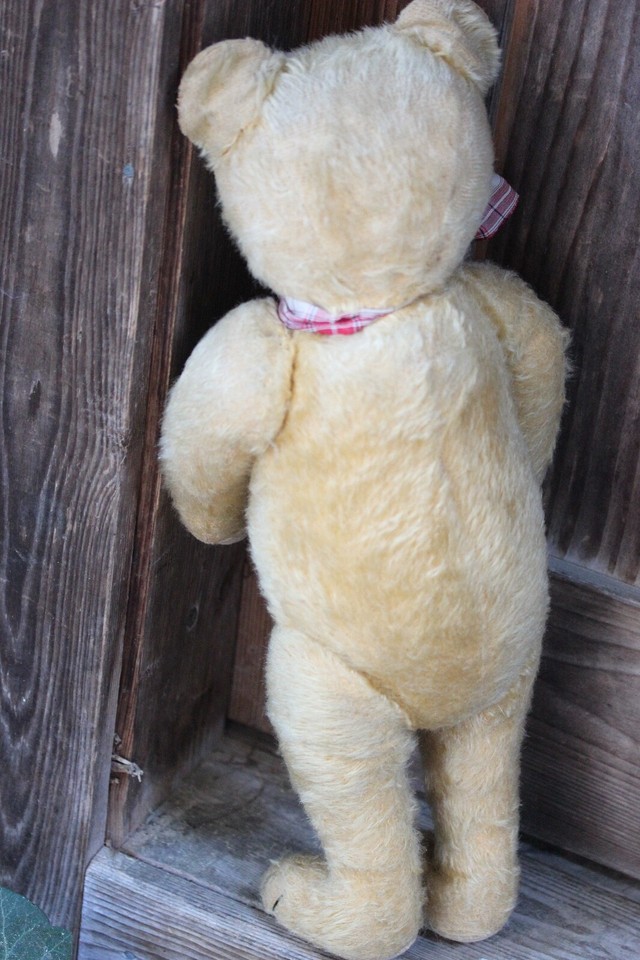 Rare antique original Bing Teddy Bear 1920s w voice 20" & vintage Toy ...