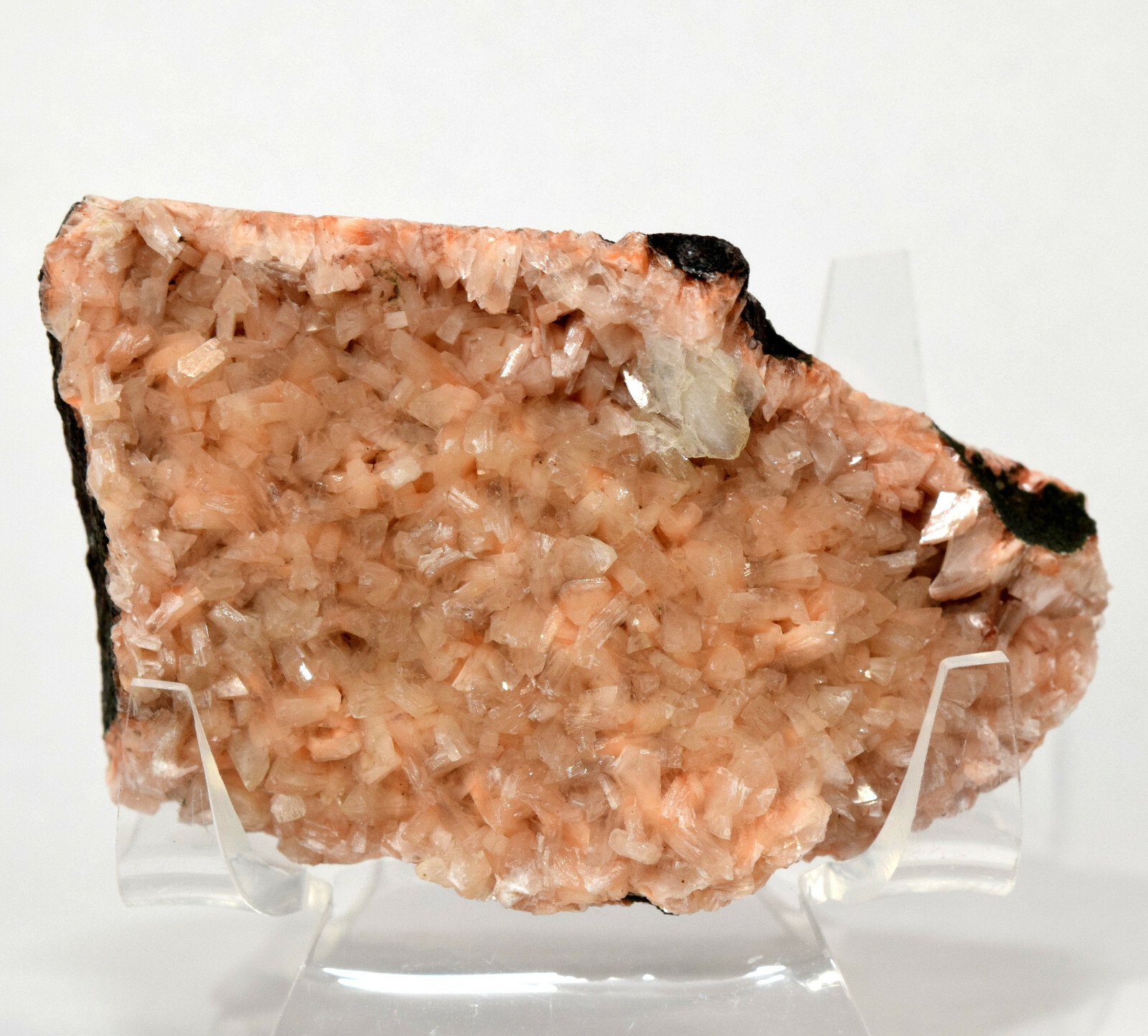 375ct Orange Stilbite Cluster Collectible Natural Druzy Zeolite Crystal ...