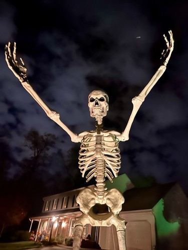 Home Depot 12 FT Foot Giant Skeleton With Animated LCD Eyes Halloween ...