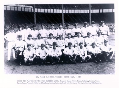 1923 World Champion NY Yankees 8x10 Team Photo | eBay