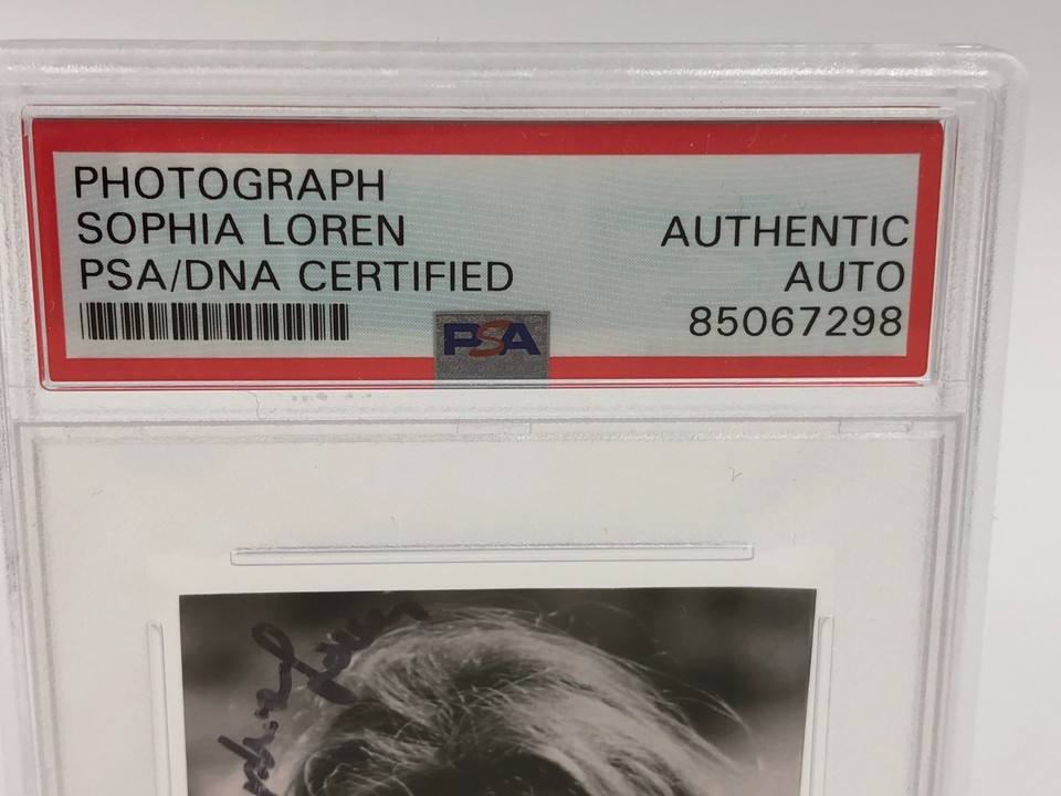 SOPHIA LOREN PSA AUTO Signed PHOTO Italian Actress TWO WOMEN GRUMPIER ...