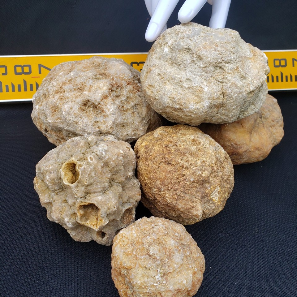 5 lbs Premium Kentucky Uncut Geodes Agates Nodules Lapidary Quartz ...