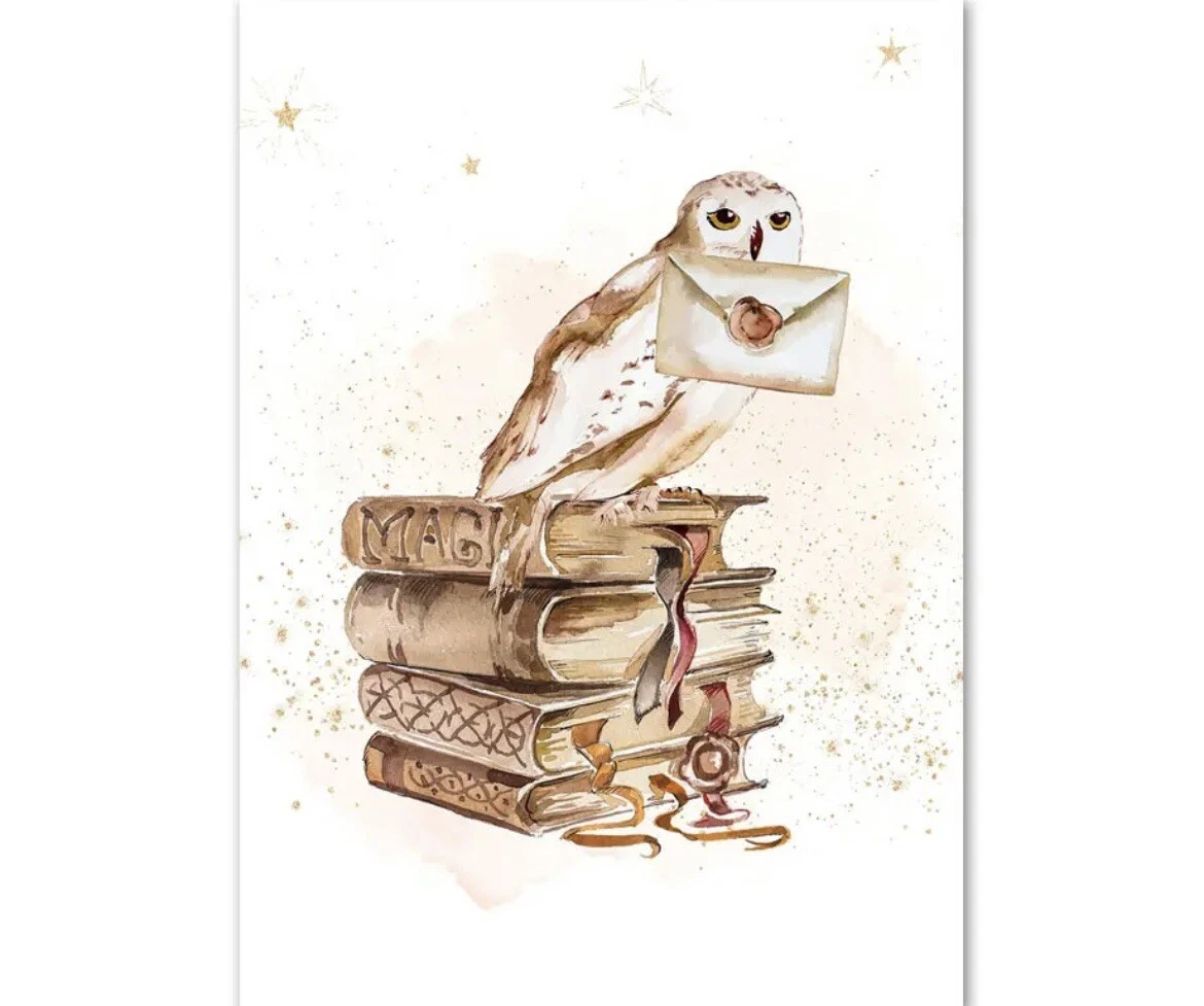 Hedwig Harry Potter Drawing