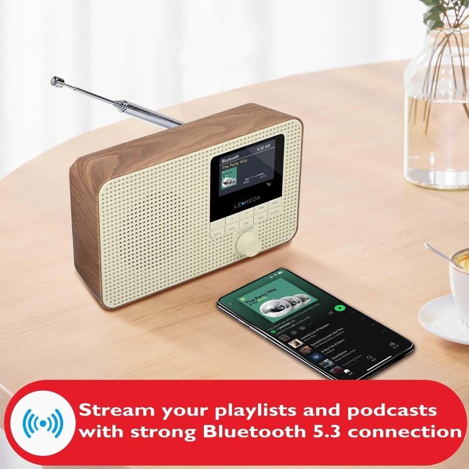 IR1 Portable Internet Radio WIFI,DAB/DAB+/FM Digital Radio,Bluetooth ...