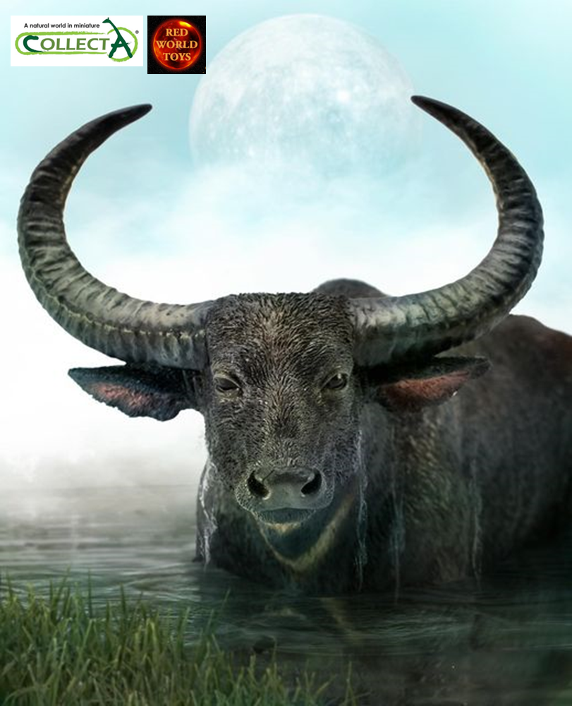 Wild Water Buffalo Wildlife Toy Model Figure by CollectA 88657 New ...
