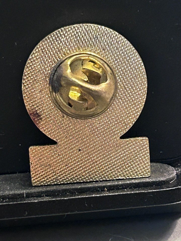 Rotary International Lapel, Hat or Vest Pin “Together We Will Make A ...