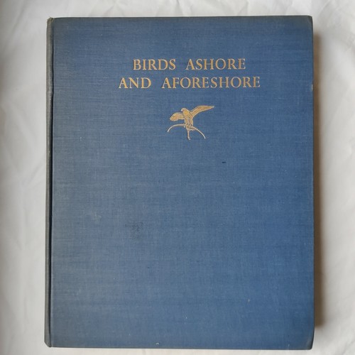 Birds Ashore and A-Foreshore Aforeshore By Patrick Chalmers & Winifred ...