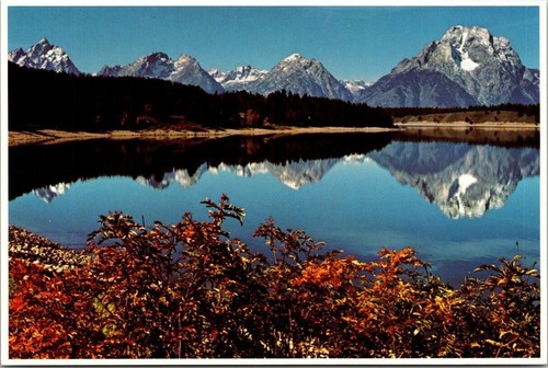 Vtg Mt. Morgan and Range Reflected Jackson Lake, Grand Teton National ...