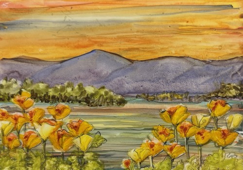 Original Watercolor California Poppy Fields at Sunset Wildflowers ...