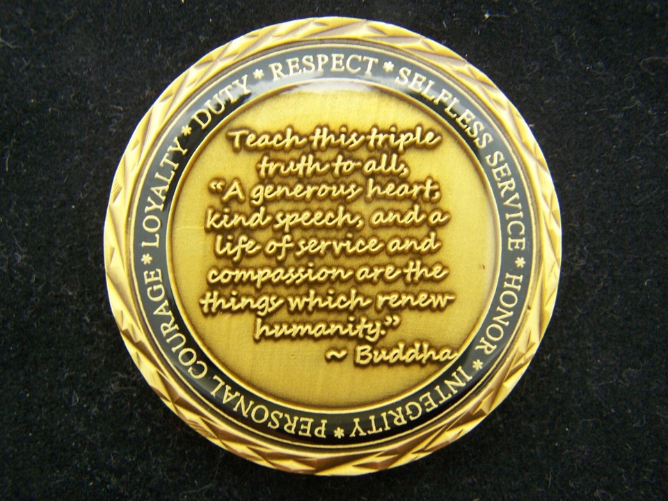 91st Infantry Brigadier General (Ret) James T Cook Challenge Coin | eBay