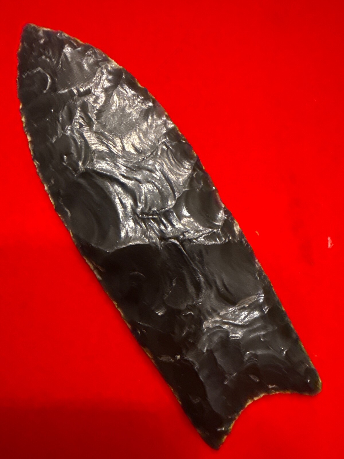 paleo plainview point arrowhead artifact OR coa | eBay