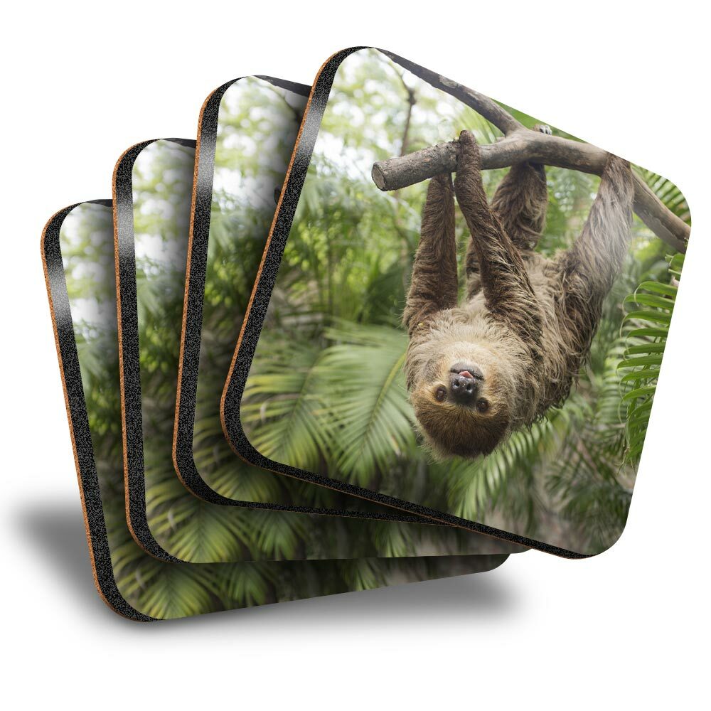 Set of 4 Square Coasters - Cute ny Jungle Sloth Animal #2837 | eBay