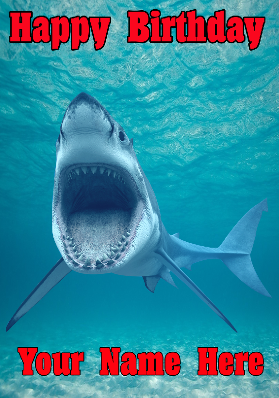 Birthday Shark Memes