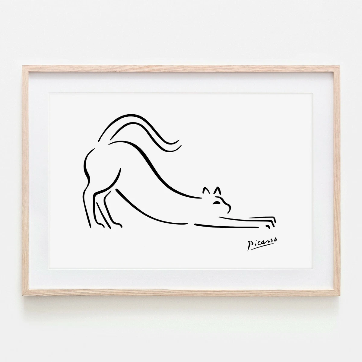 Pablo Picasso Contour Drawings