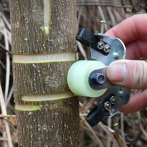 Bark Tree Wood Stripping Cutter Girdling Fruit Cutter Peeling Pruning ...