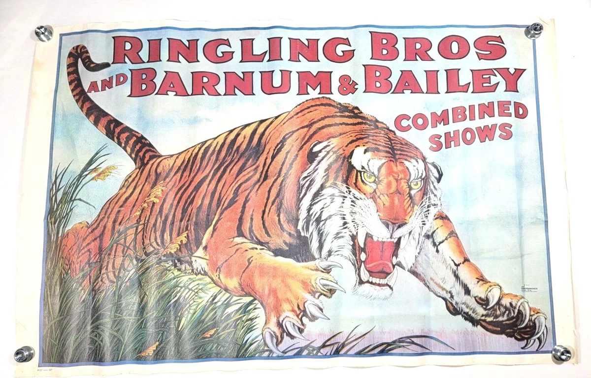 Circus Tiger Posters