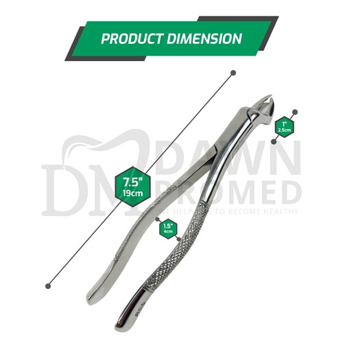 Dental Extracting Forceps 88L & 88R Molar Tooth Extraction Surgical ...