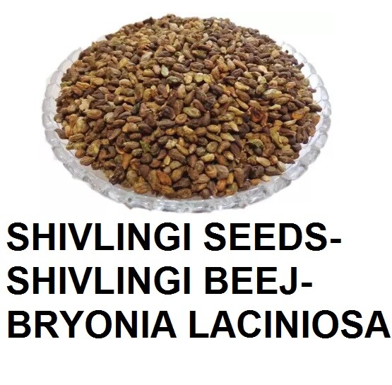 SHIVLINGI SEEDS-SHIVLINGI BEEJ-BRYONIA LACINIOSA WHOLE SEEDS INDIAN ...
