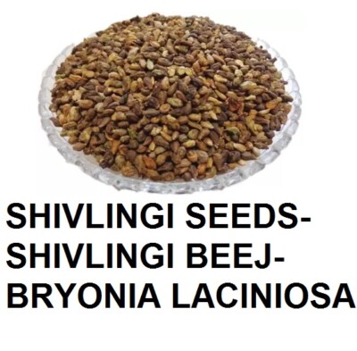 SHIVLINGI SEEDS-SHIVLINGI BEEJ-BRYONIA LACINIOSA WHOLE SEEDS INDIAN ...