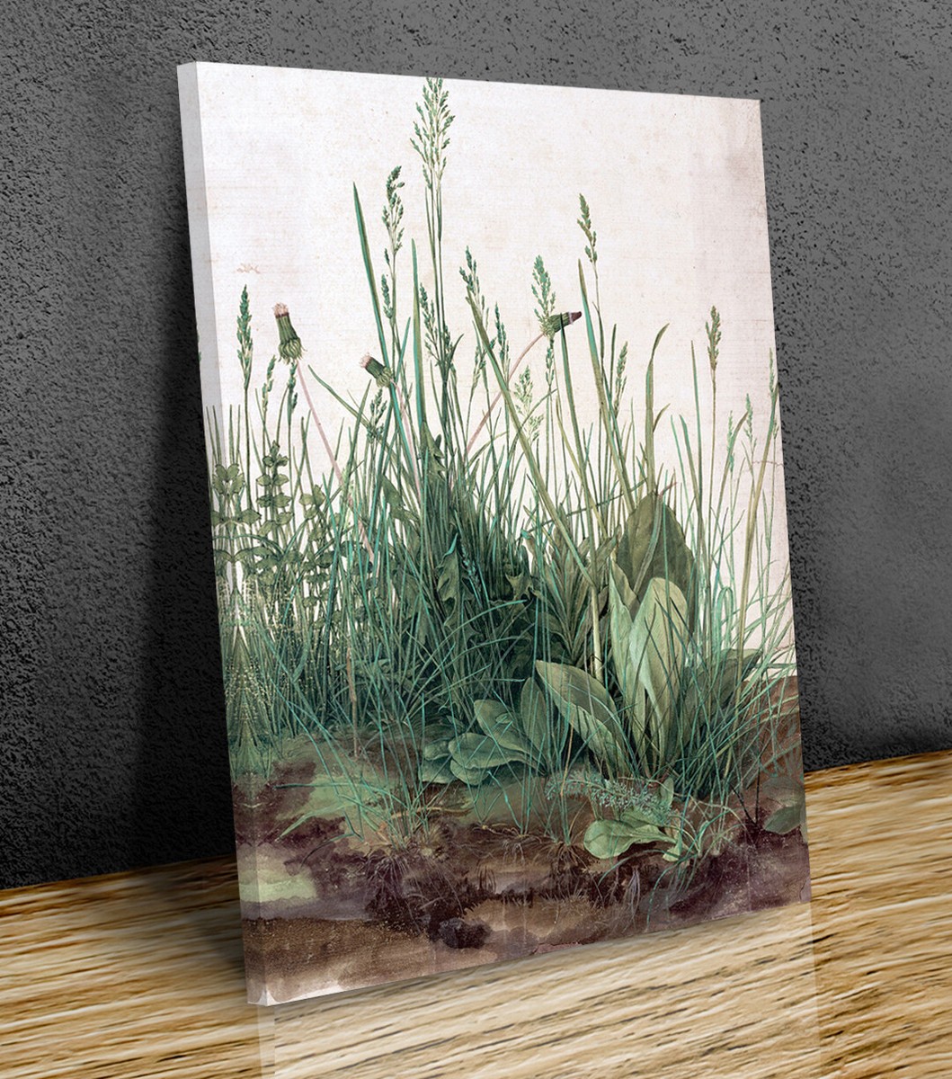Great Piece Of Turf