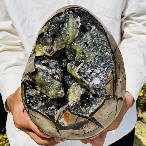 14.01LB Natural Turtle Back Stone Dragon Crystal Cave Crack Gem Healing ...