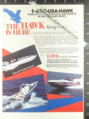 1984 AD, Hawk Racing Team Cigarette 38 Wellcraft Excalibur Eagle 42 ...