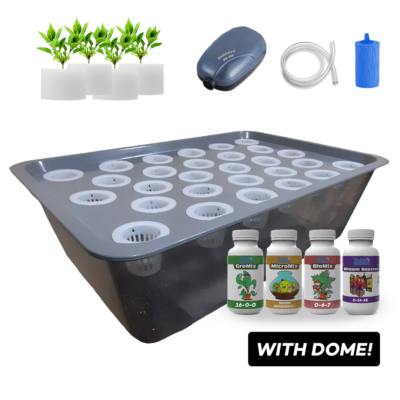 Cloning Hydroponic Setup