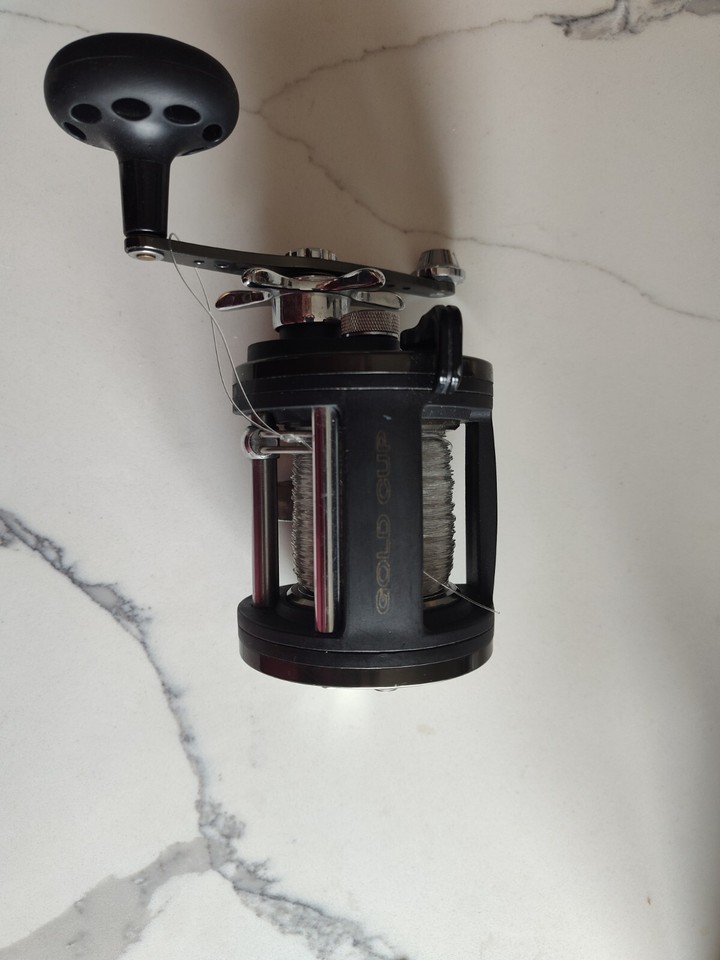 GDC-20 offshore angler fishing reel | eBay