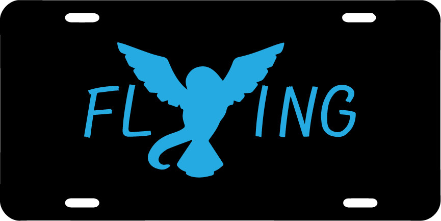 Flying Vanity License Plate Pokemon | eBay