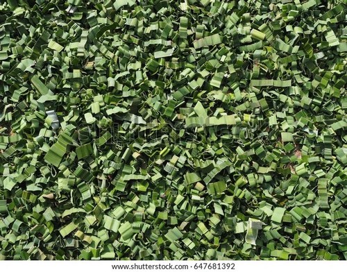 Pandan Leaves Rampe Natural Organic Sun Dried Spice Ceylon 100% Pure ...