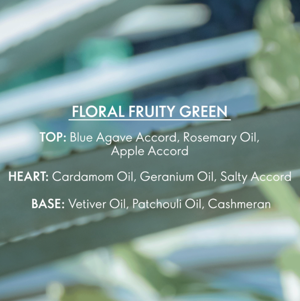 ORIFLAME MEN'S COLLECTIONS AGAVE POWER (FLORAL FRUITY GREEN ) EDT SPRAY 75ml.NEW | eBay