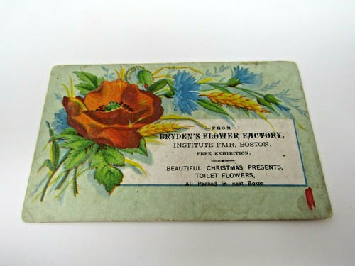 Bryden's Flower Factory Institute Fair Boston Beautiful Christmas ...