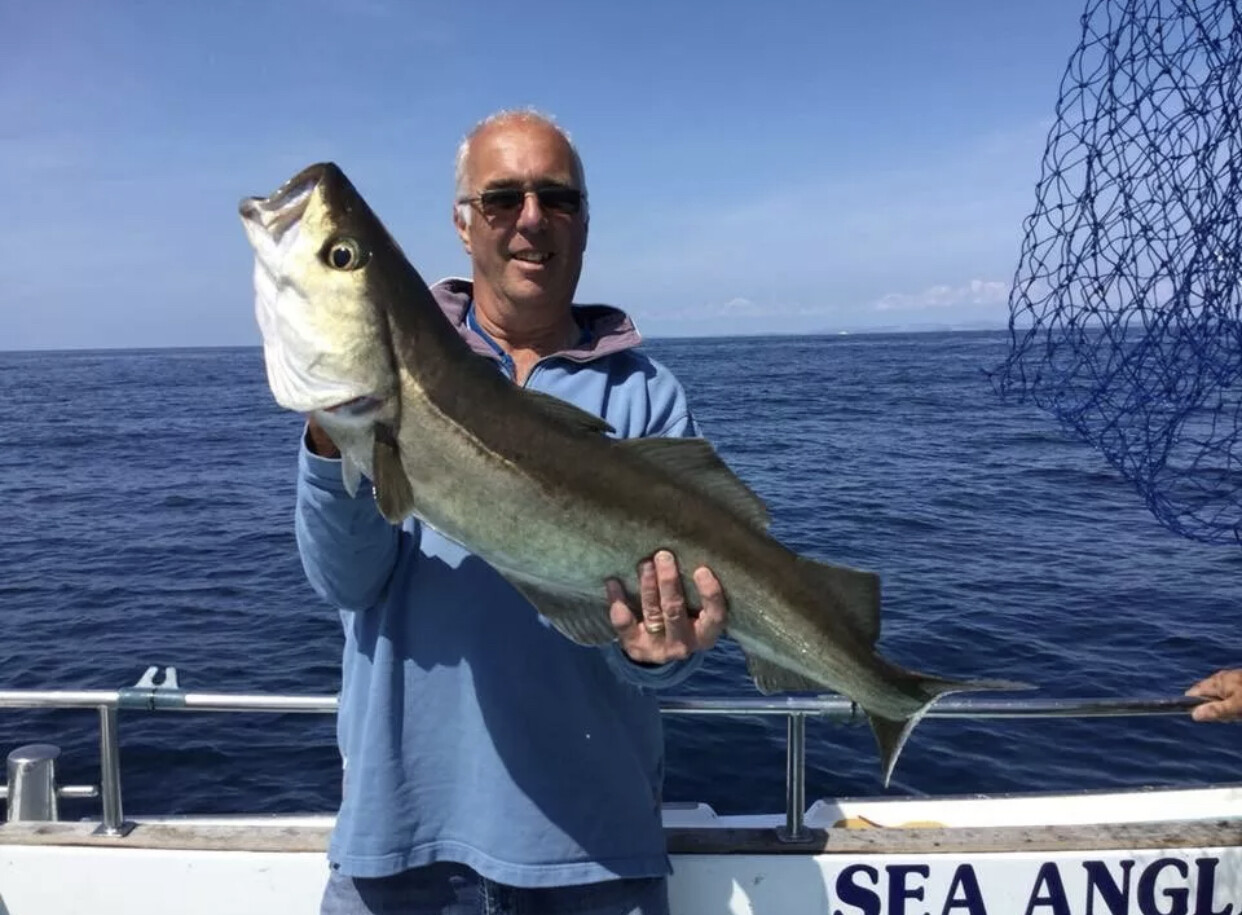 SANDEEL LURES DELTA 2023 ONE EEL PACK NEW MODEL 155mm THE BEST BASS COD ...