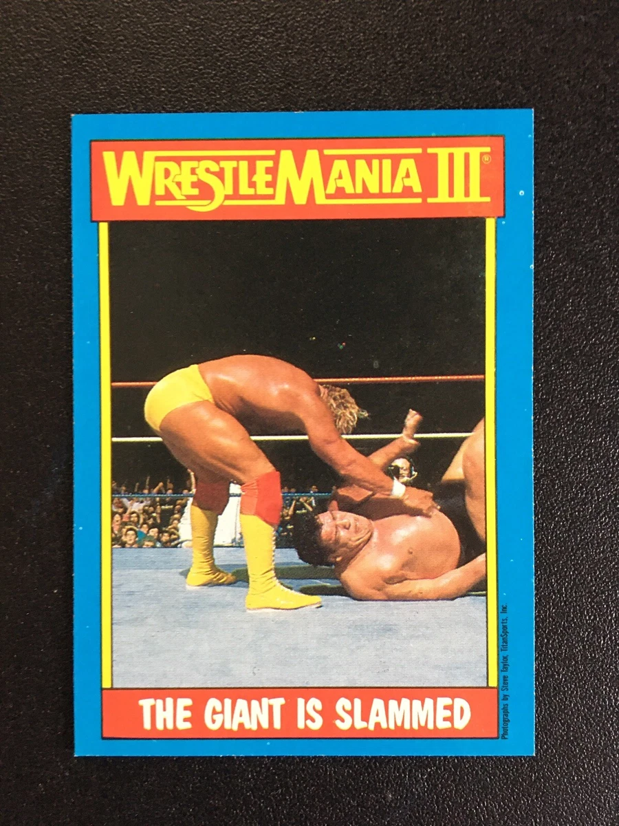 Andre The Giant Vs Hulk Hogan Body Slam