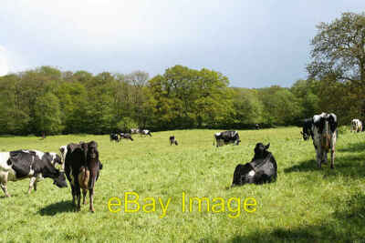 Photo 6x4 Clayhidon: near Burcombe Farm Bolham Water Looking east by ...