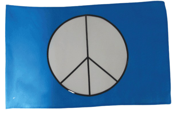 Courtesy Flag 1.5ft x 1ft Sleeved Polyester 180+ designs FREE P&P | eBay UK