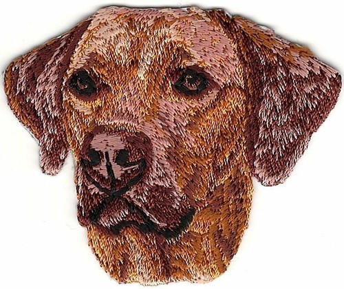 2"x2 1/2" Rhodesian Ridgeback Head Portrait Dog Breed Embroidery Patch ...