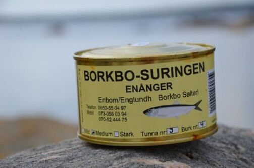 SURSTROMMING DIRECTLY FROM FACTORY IN SWEDEN ! Surströmming "Same Day ...