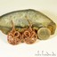 Pure Copper Beads Earrings Wire Wrapped Handcrafted Mba Handmade ...