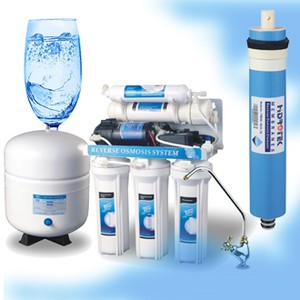 Spring Oasis Water Systems | eBay Stores