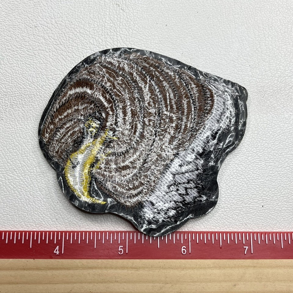 HAWK Patch B007 | eBay